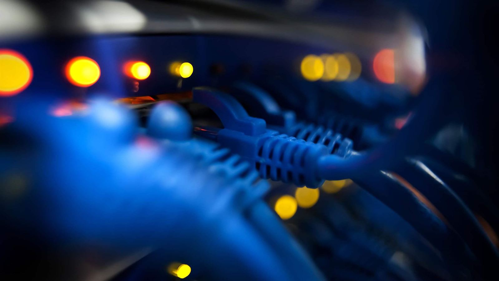 Intelligent Document Processing Software | Tungsten Automation